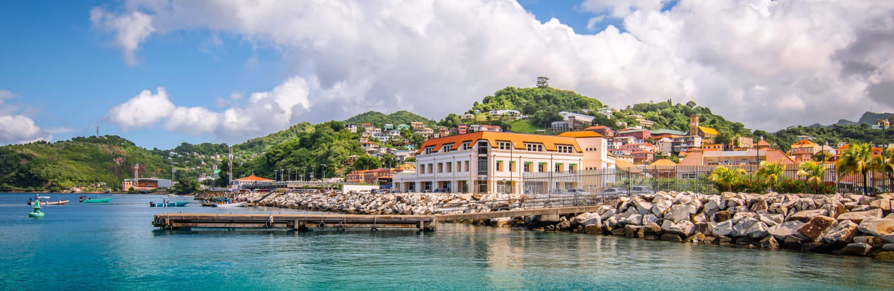 Grenada Mountain Rain Forest