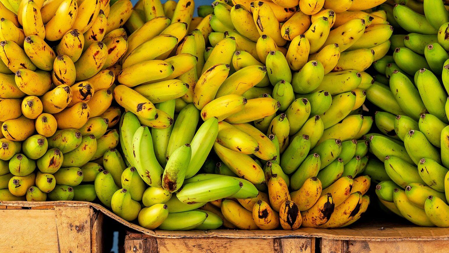 Cruises To Puerto Bolivar (Machala), Ecuador