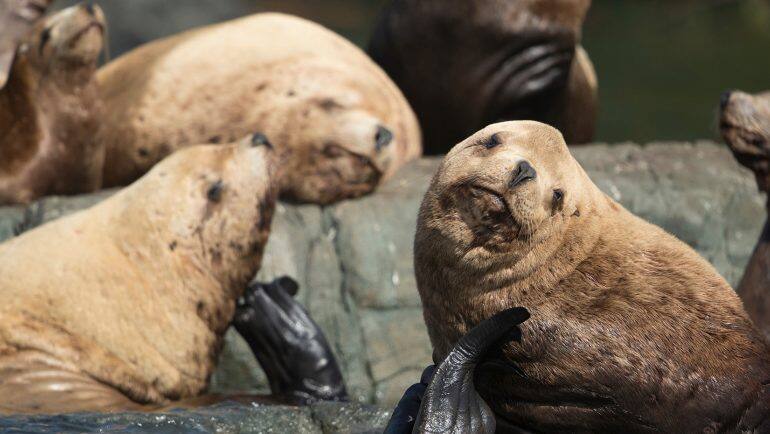 Alert Bay, British Columbia, Canada