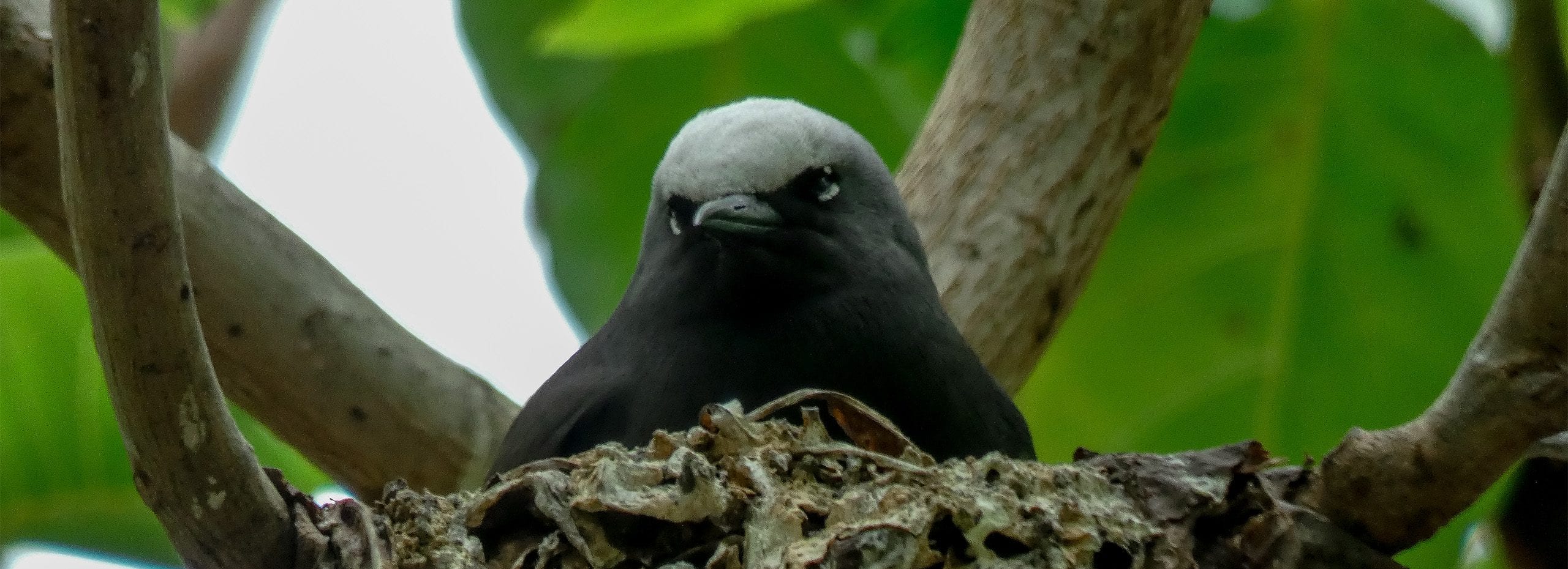 Oroluk Lagoon, Micronesia