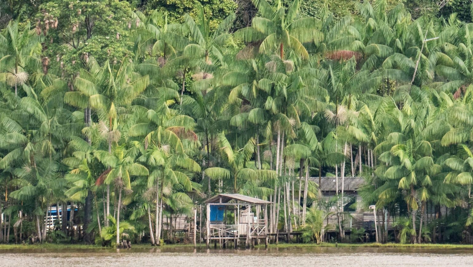 Cruises To Macapa, Brazil