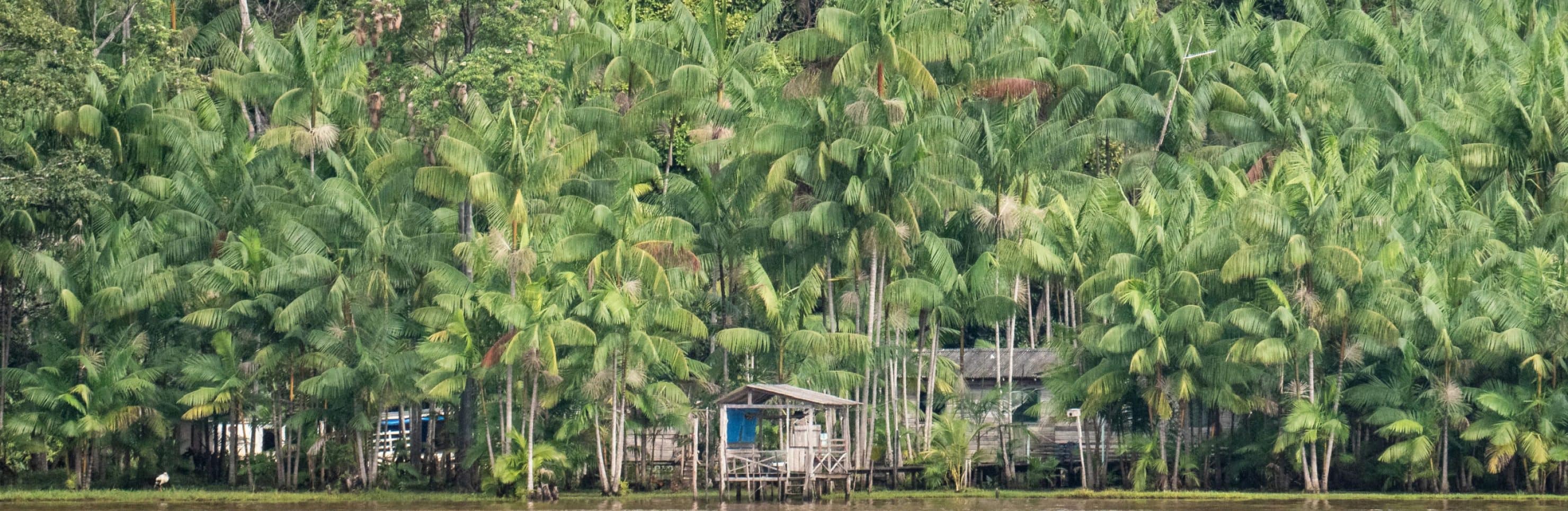 Macapa Highlights: Included Experience