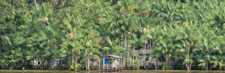 Macapa Highlights: Included Experience