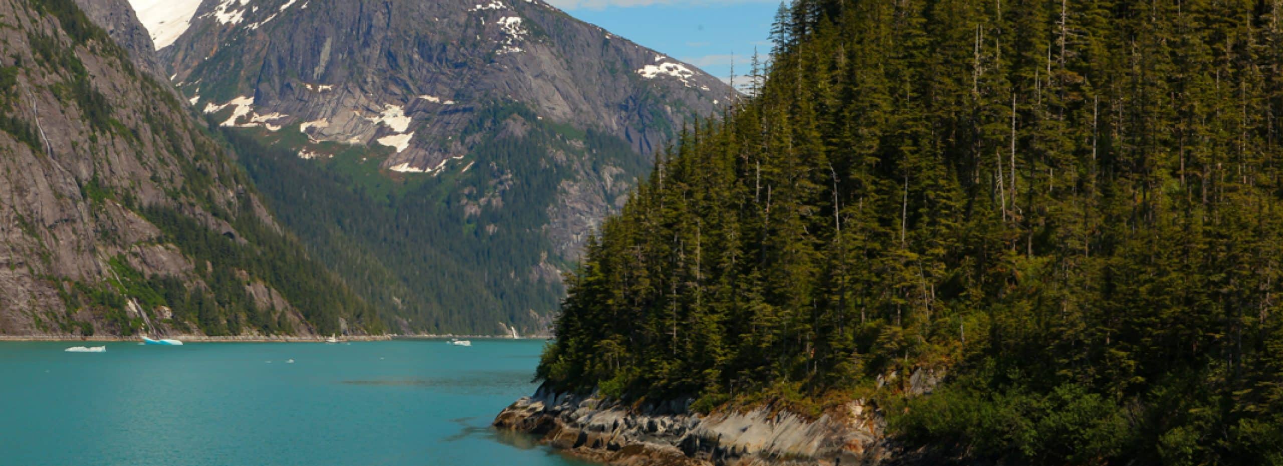 Scenic Cruising Tracy Arm