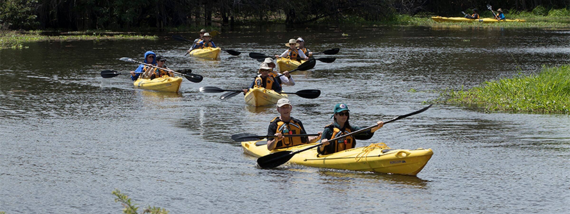 Amazon River Luxury Cruises 2025-2026 | Seabourn