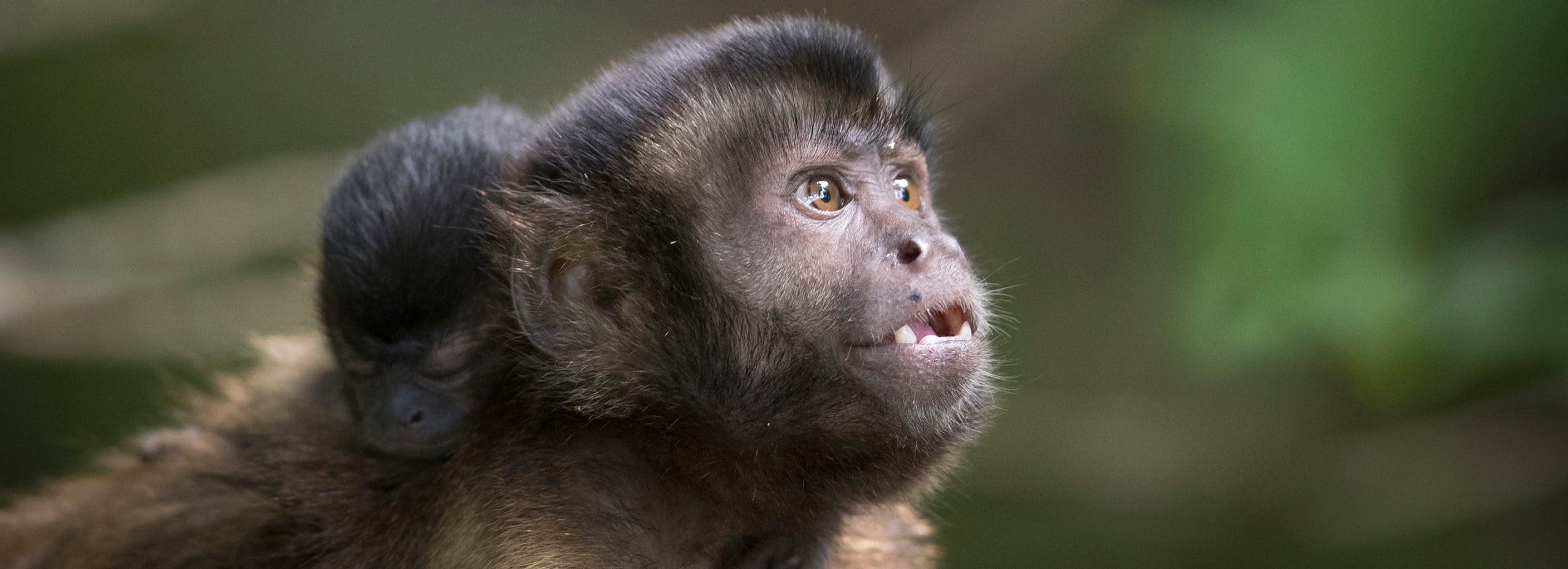 Devils Island, French Guiana