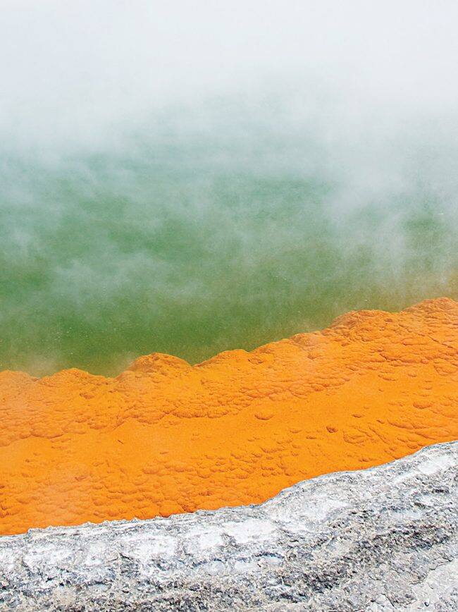 Tauranga (Rotorua), New Zealand