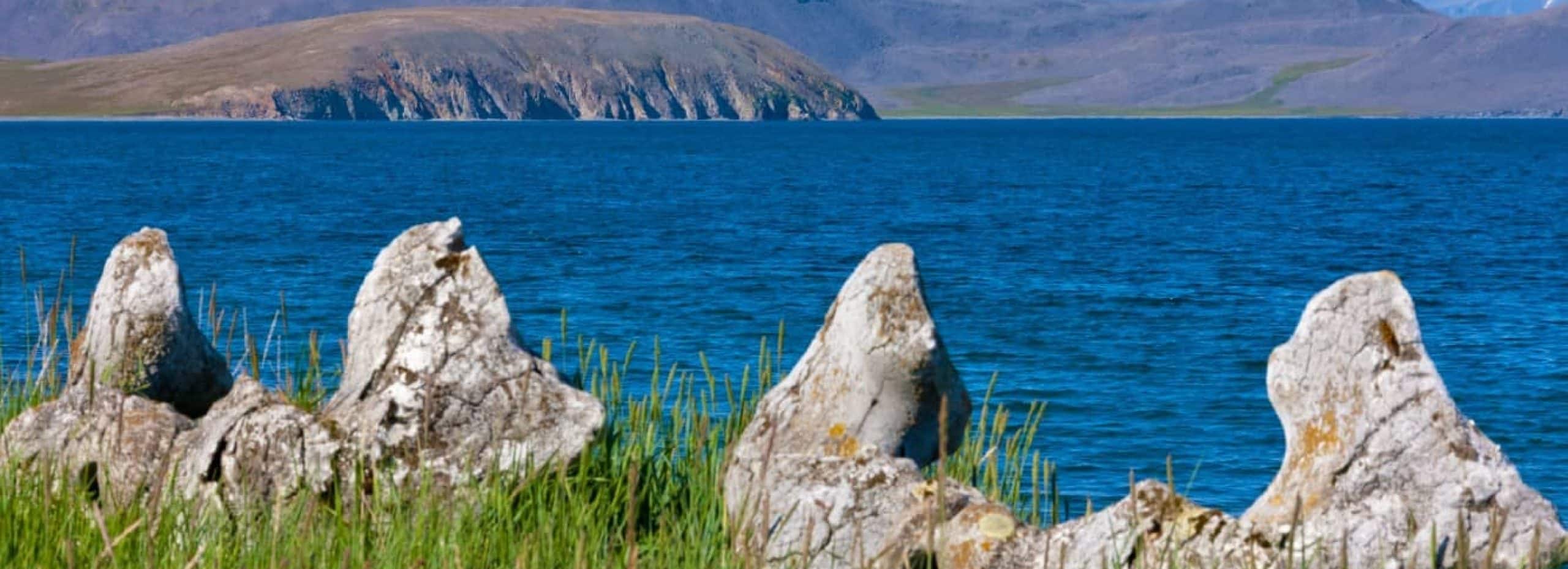 Whale Bone Alley, Russia