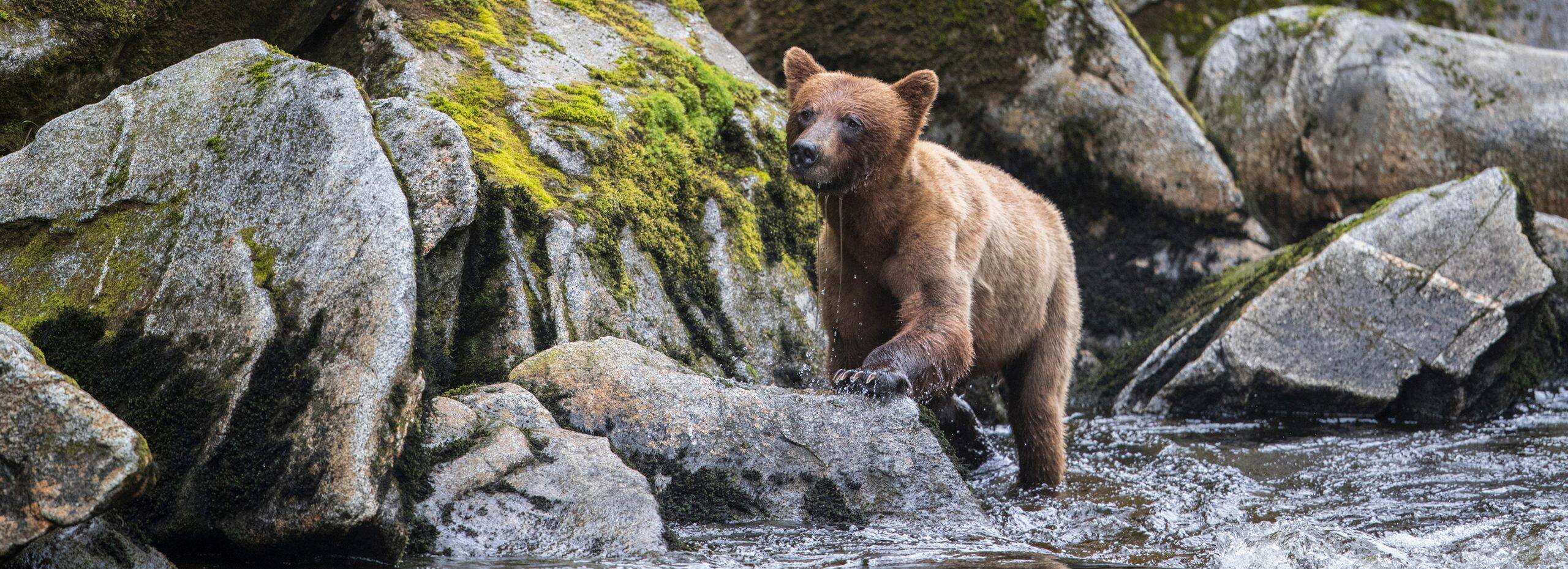 Wrangell, Alaska, US