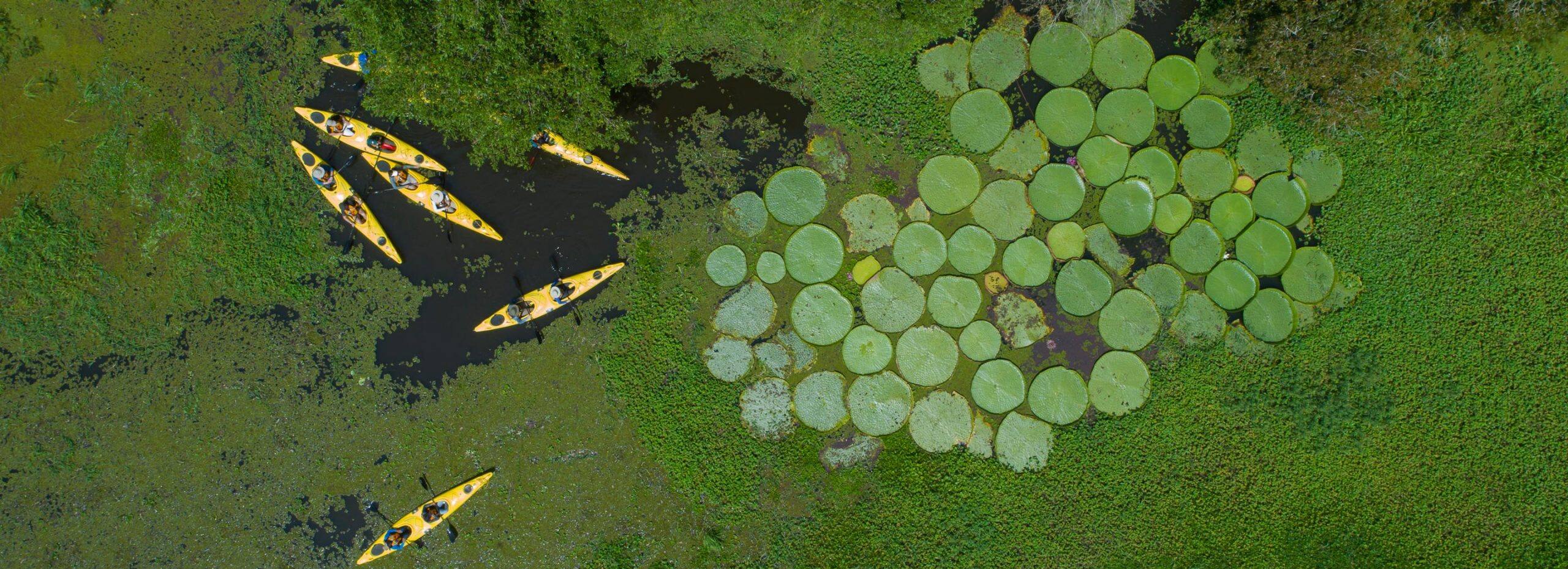 Amazon - Ventures by Seabourn