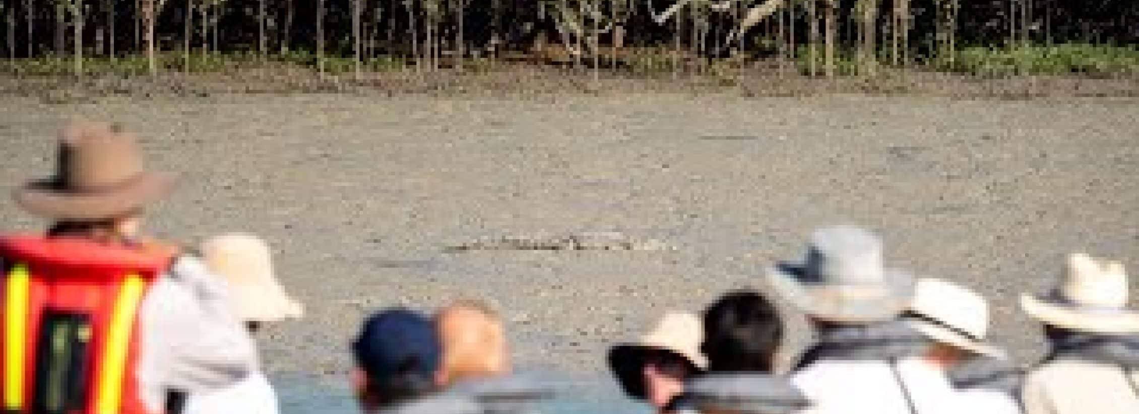 Amazon & Tropics Packing List