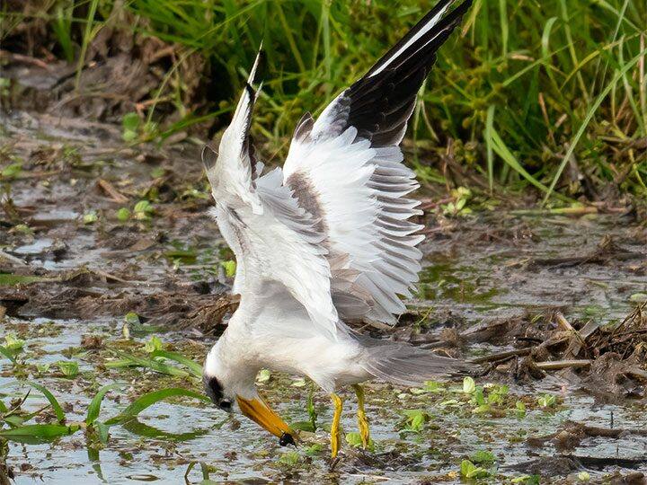 Ventures by Seabourn®