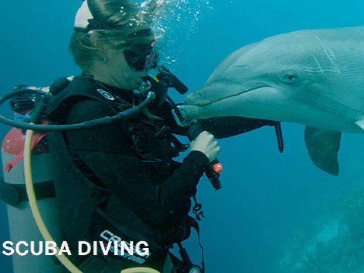 Expedition Experience