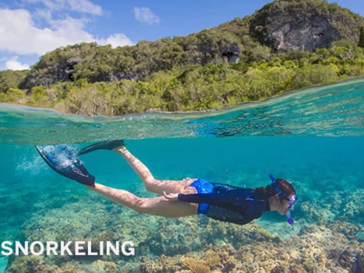 Expedition Experience