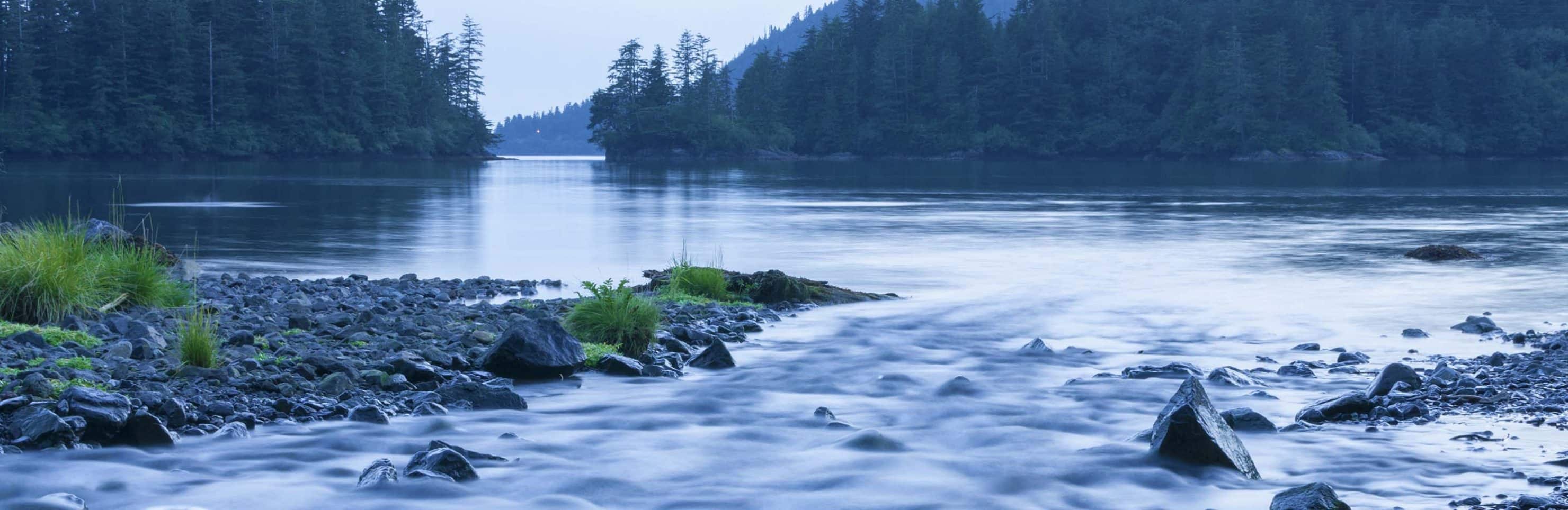 Ventures by Seabourn: Herring Cove to Beaver Lake Hike