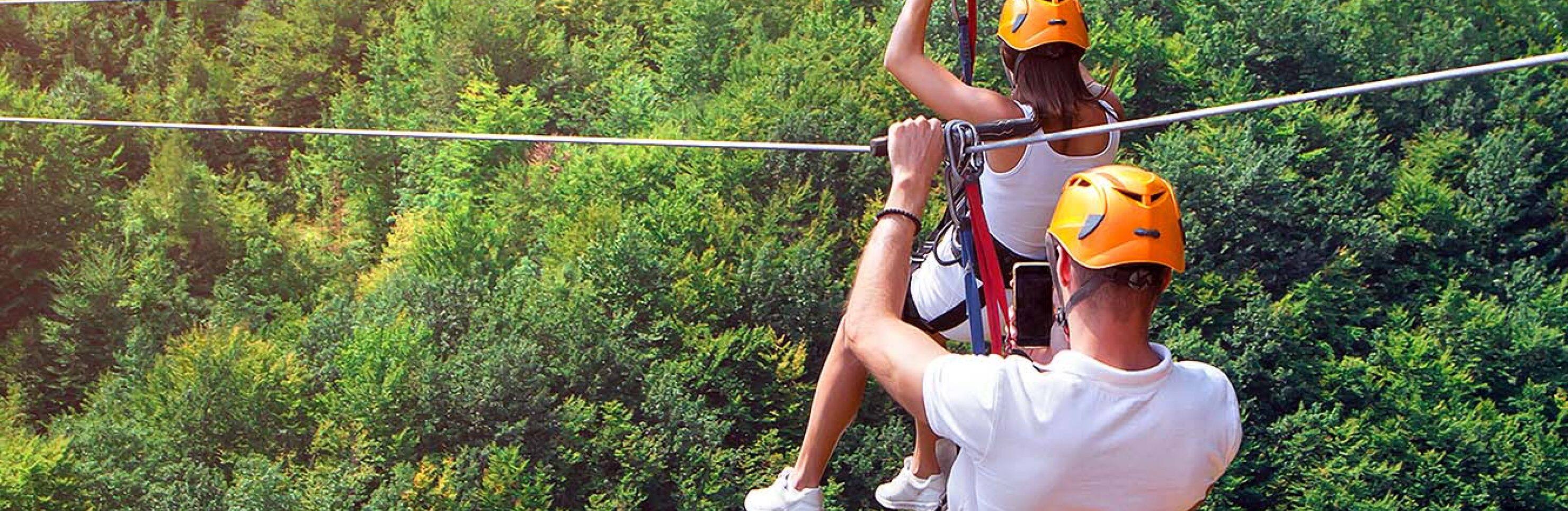 Zip-Line in the Treetops