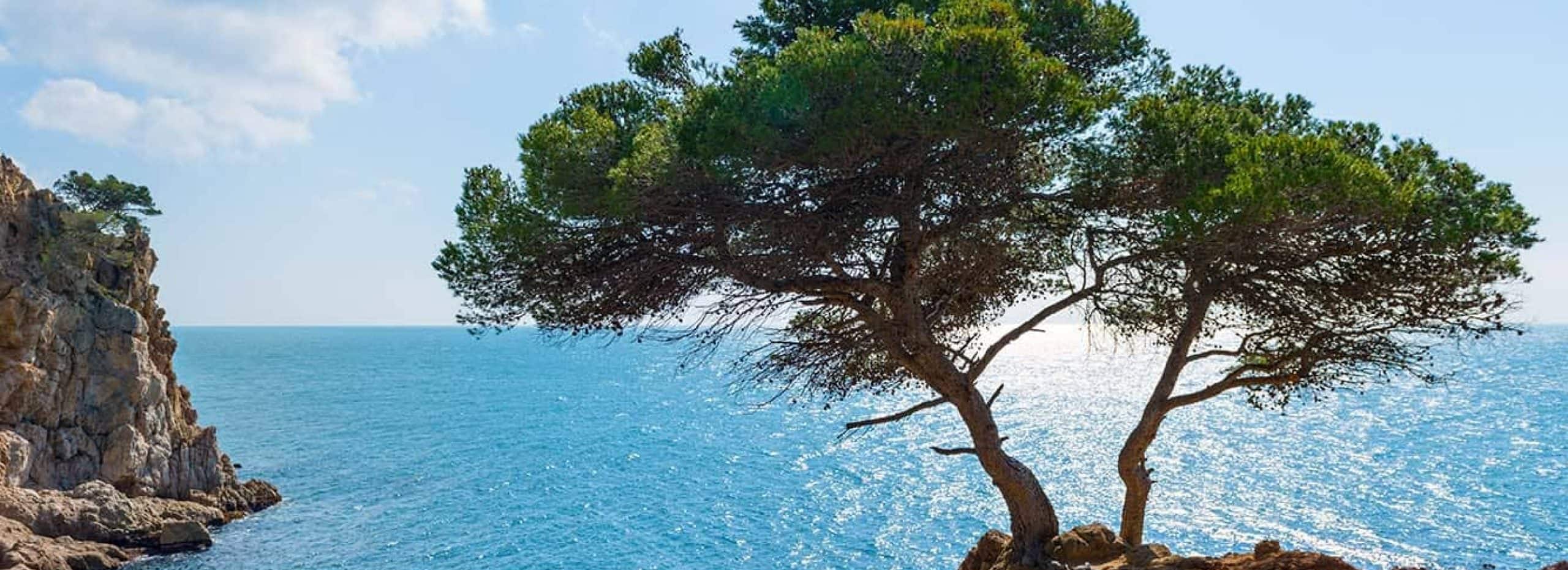 Rosas (Roses), Spain