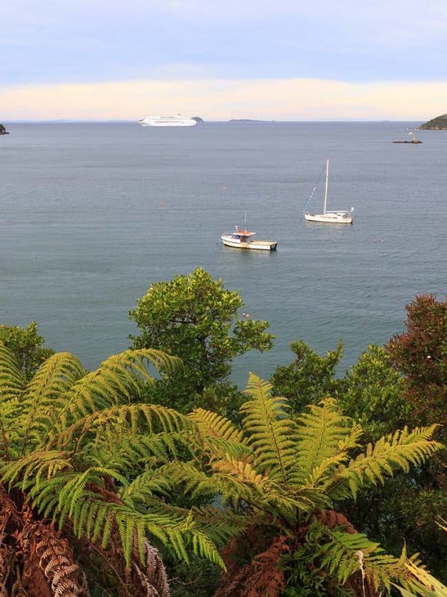 Oban, Stewart Island, New Zealand