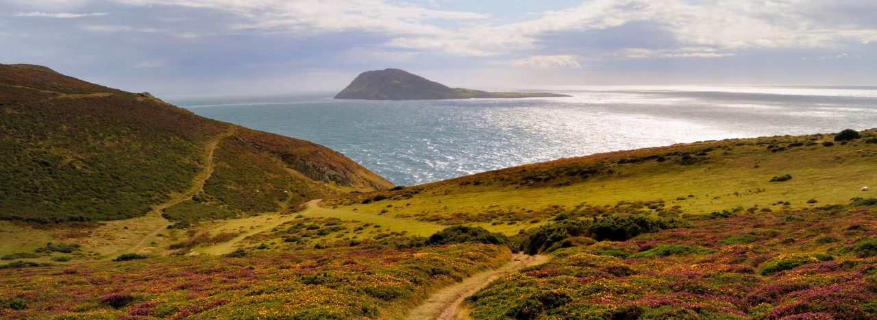 Cruises To Bardsey Island, Wales, UK