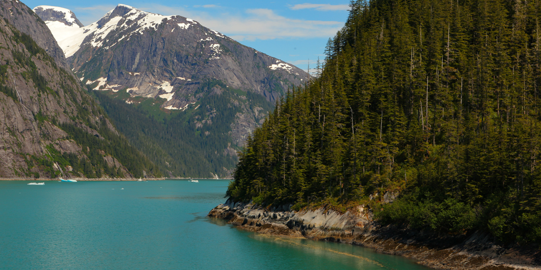 Cruises To Scenic cruising Tracy Arm or Endicott Arm