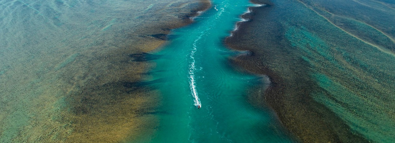 Cruises To Montgomery Reef, Western Australia, Australia