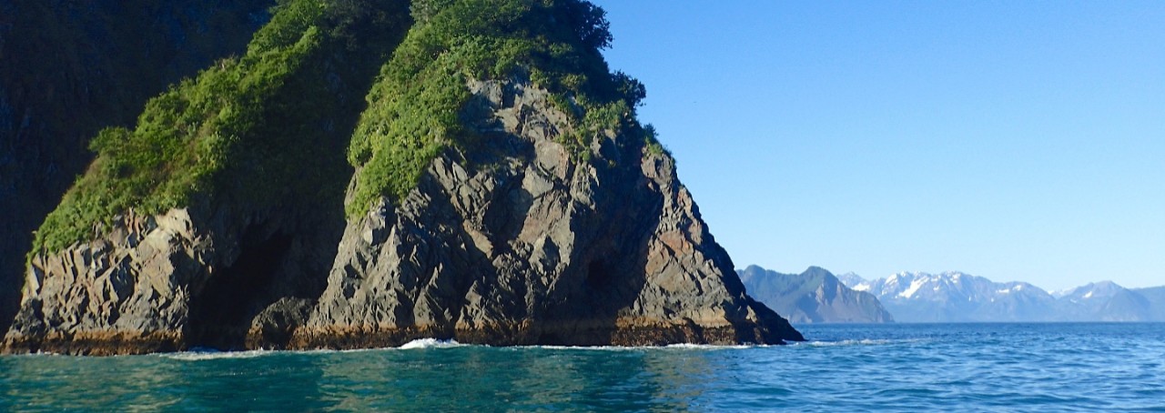Cruises To Scenic cruising Resurrection Bay
