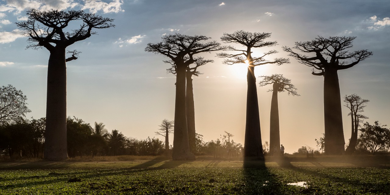 Cruises To Andoany (Hell-Ville), Nosy-Be, Madagascar