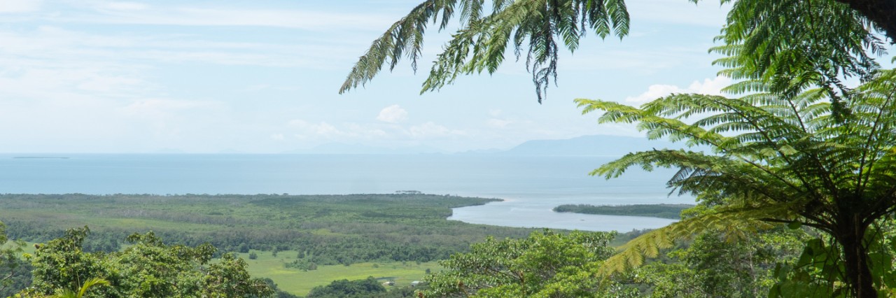 Australia Reef Rock and Rainforest