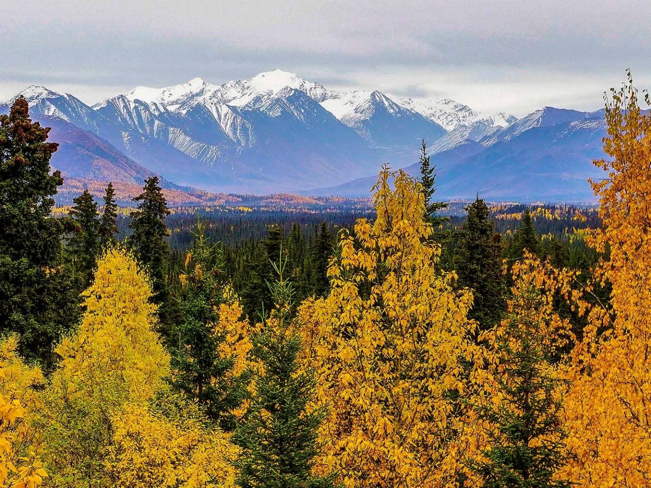 Cruises To Tok, Alaska