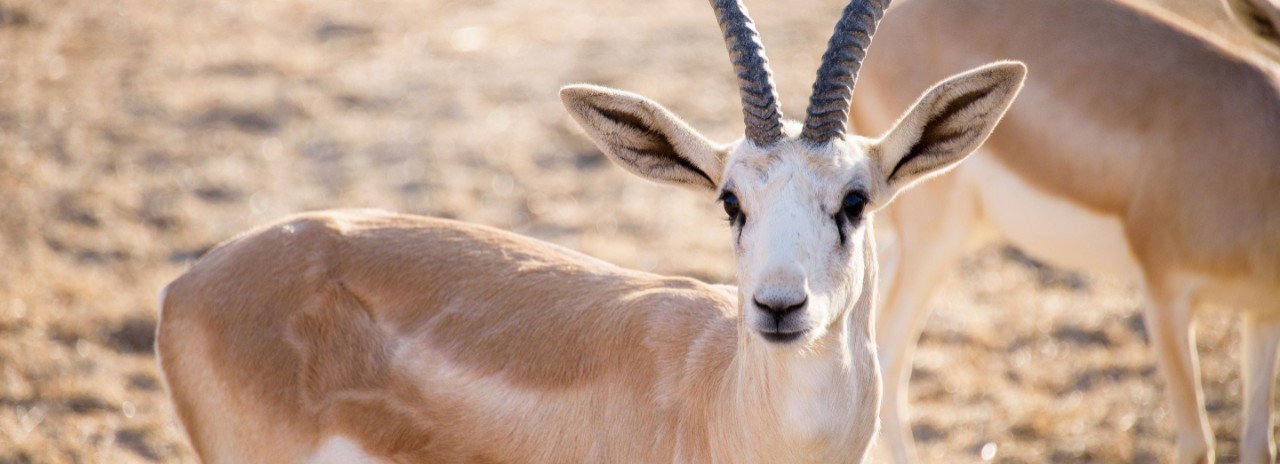 Peterhead (Aberdeen), Scotland, United Kingdom