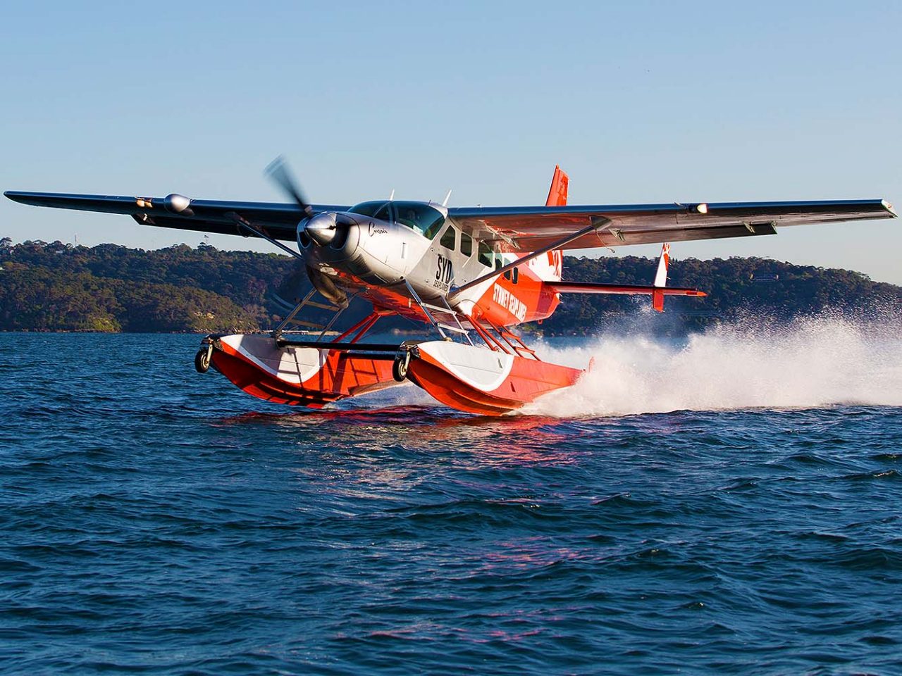 Seaplane Flight & Kandy Highlights Cruise Tour