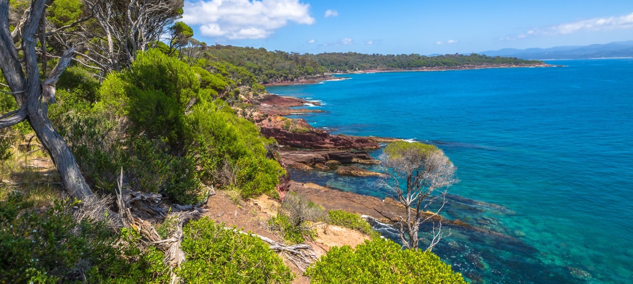 Cruising Twofold Bay Cruise Tour